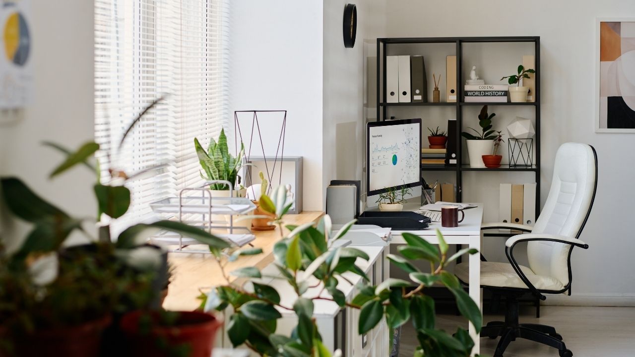 15 Winter Office Plants for Irvine: Low-Maintenance Guide