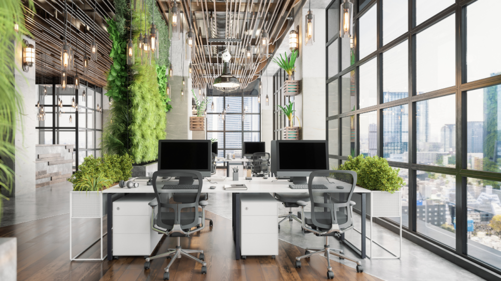 Low-Maintenance Indoor Plants for Busy Offices | Mr. PlantSoCal
